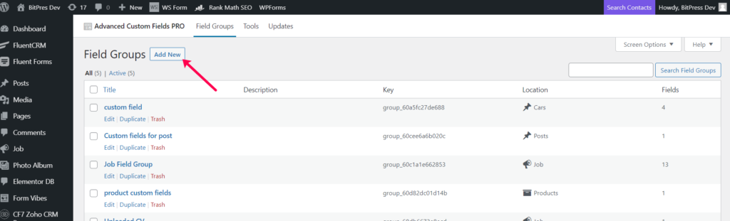 Advanced Custom Fields (ACF) Integrations - Bit Form
