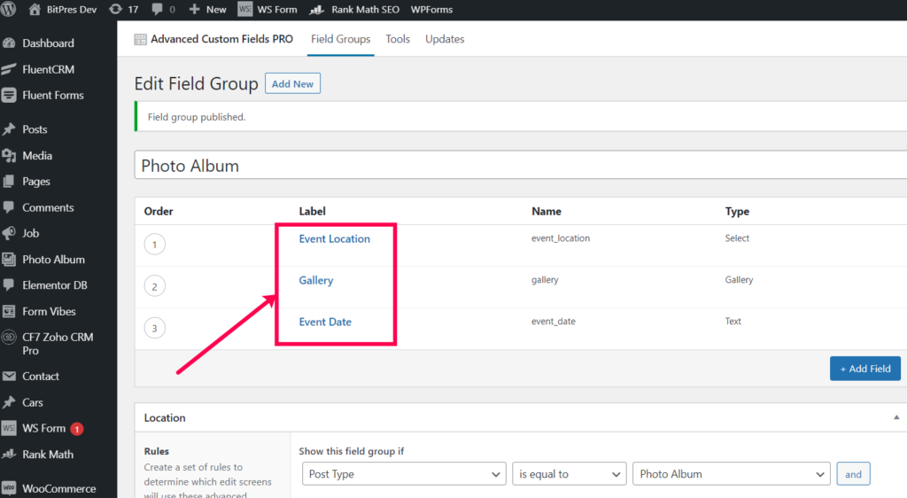 Advanced Custom Fields (ACF) Integrations - Bit Form
