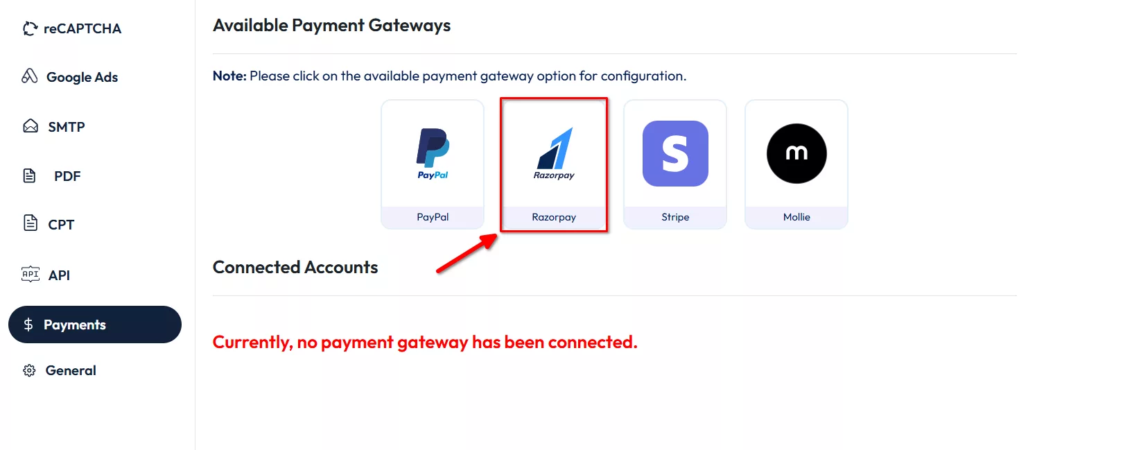 Razorpay Payment Field - Bit Form
