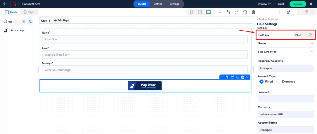 Razorpay Payment Field - Bit Form